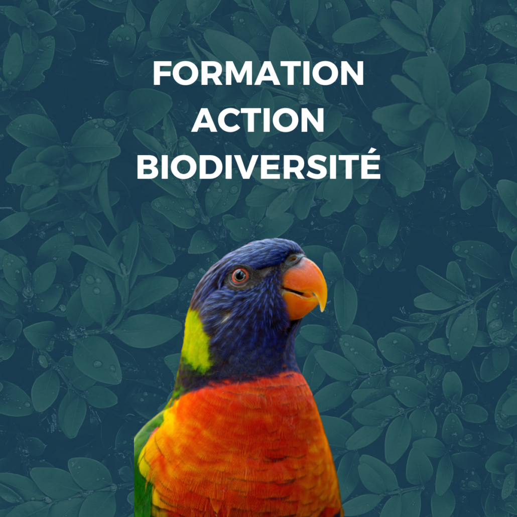Formation Action Biodiversité - ENGAGE